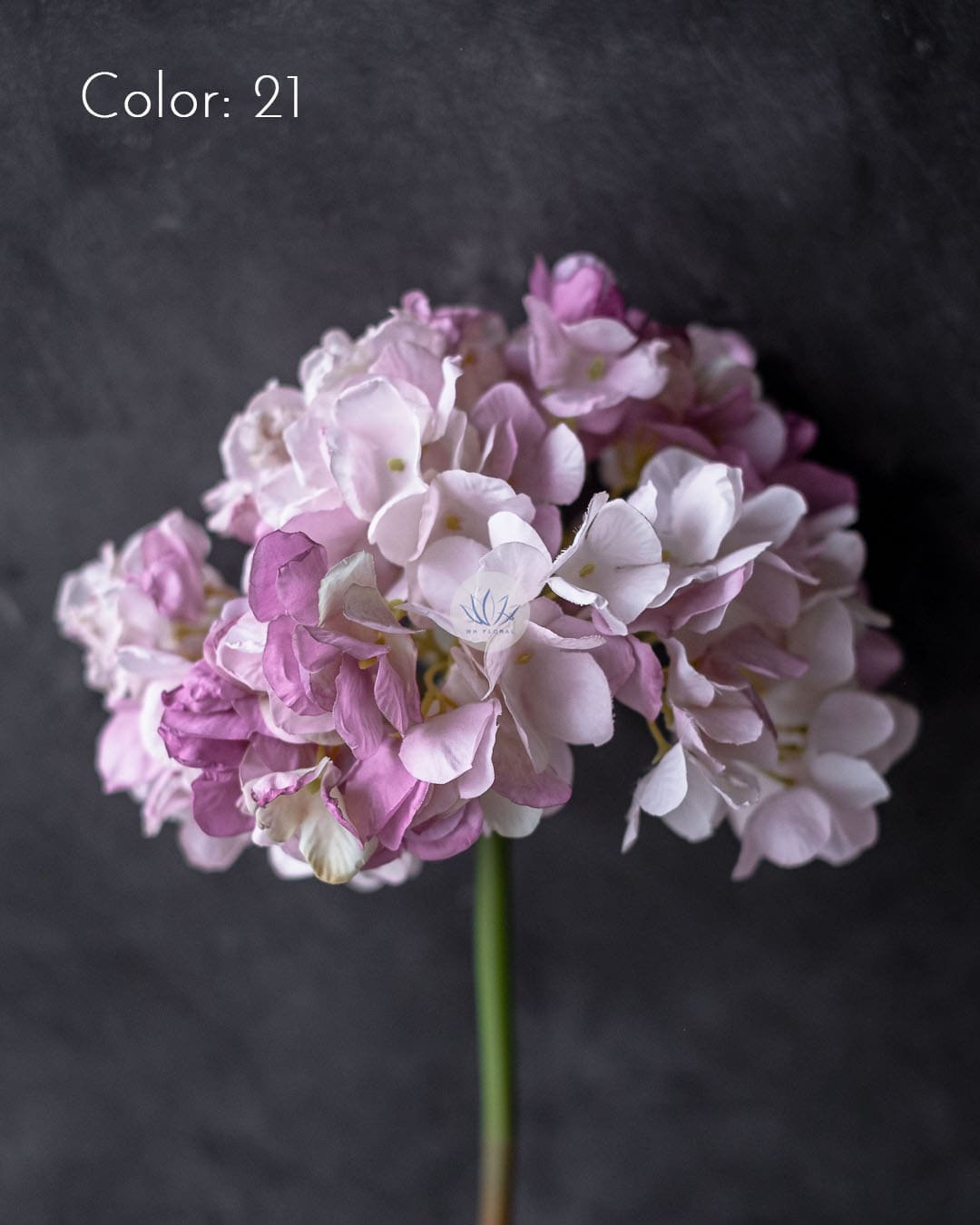 Dry Look Hydrangea Spray BF361